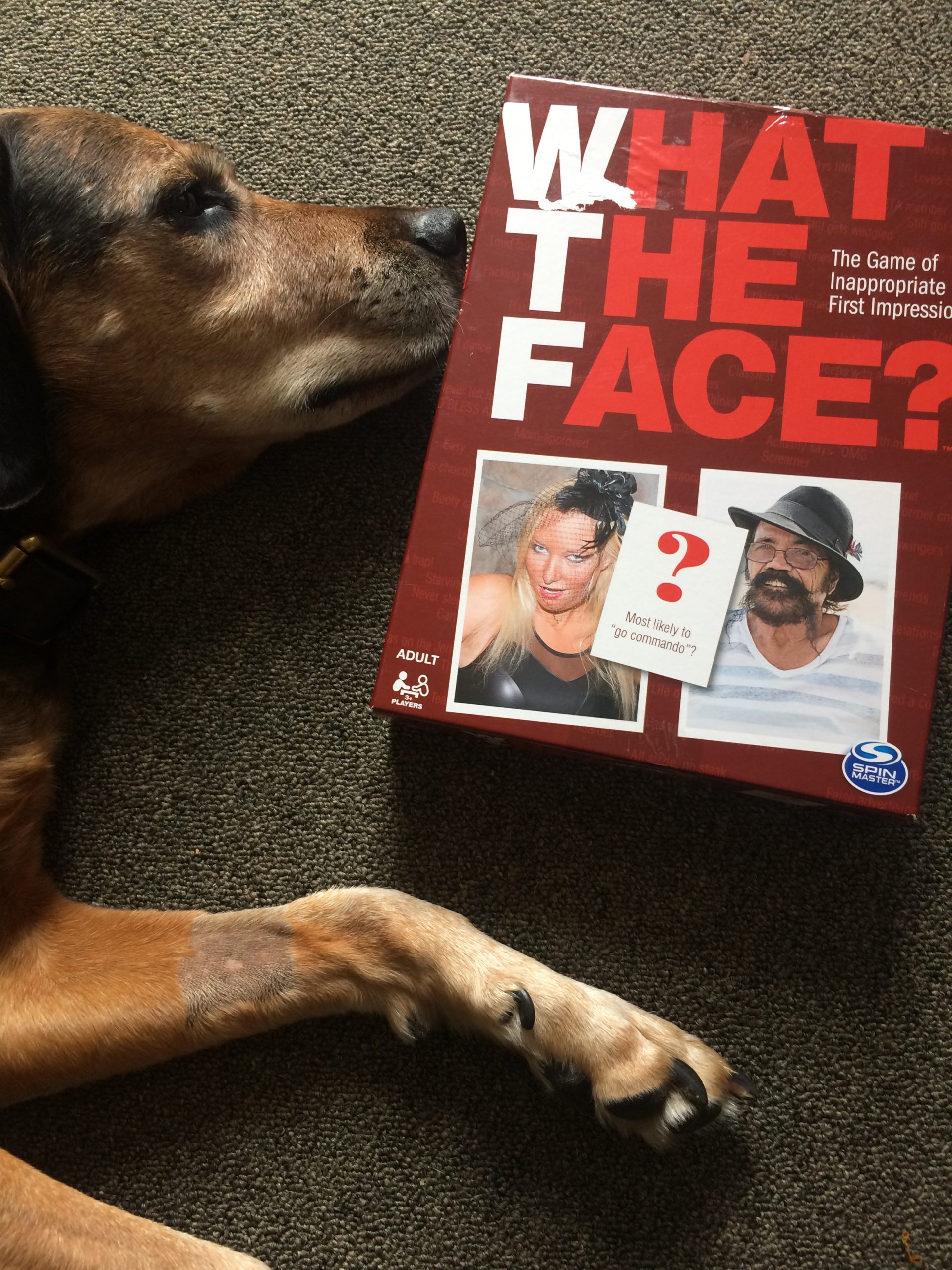 Guest Review: What the Face? | Idle Remorse